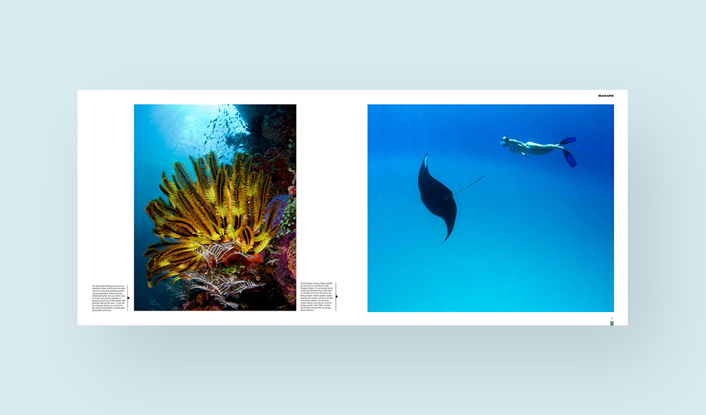 Custom Publishing | Media Group