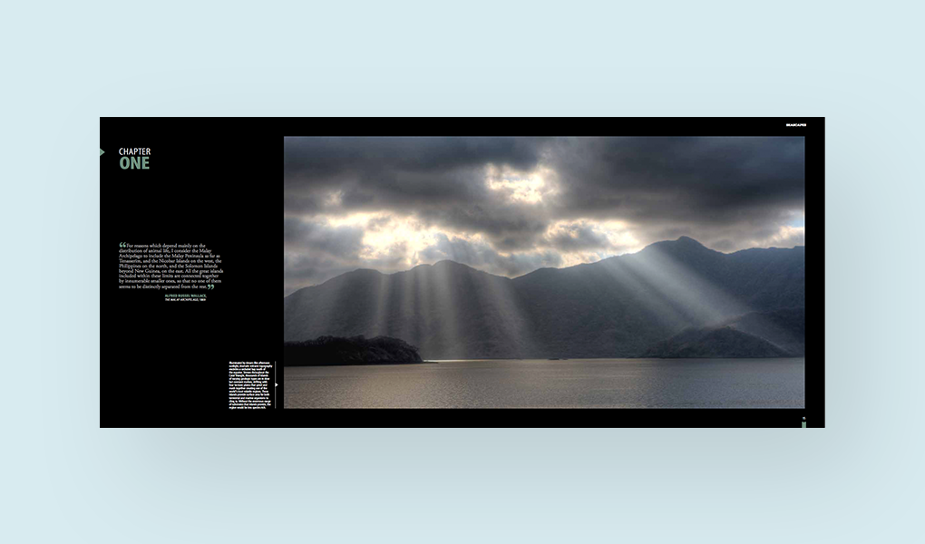 Custom Publishing | Media Group