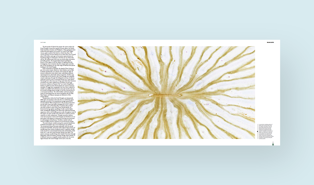 Custom Publishing | Media Group